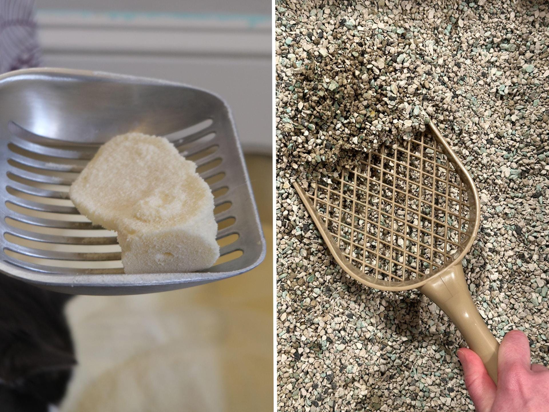 Clumping vs. non-clumping litter: What are the differences?