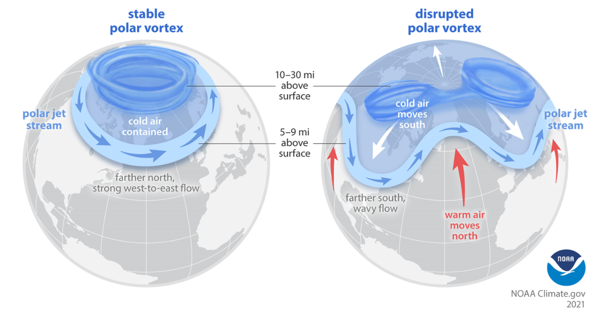 Temperatures Were Unusually Cold In Many Parts Of The World Thanks To ...