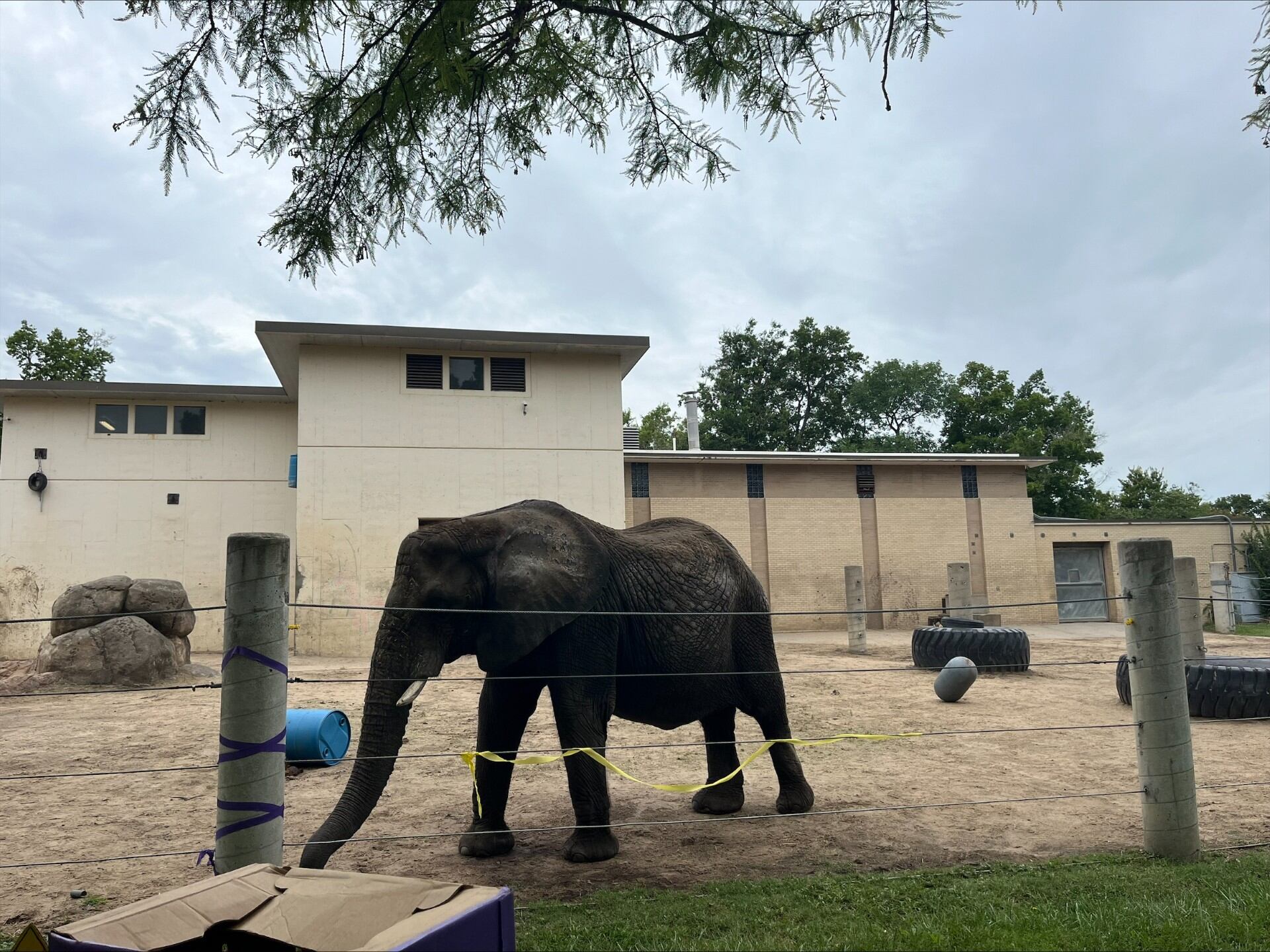 Topeka Zoo offering behind-the-scenes access to visitors