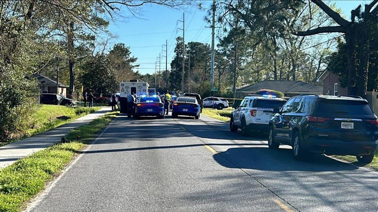 Savannah police chase leaves one dead on Liberty Parkway