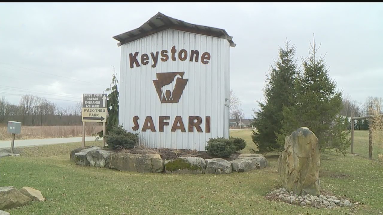 Keystone Safari gets ready to reopen this week
