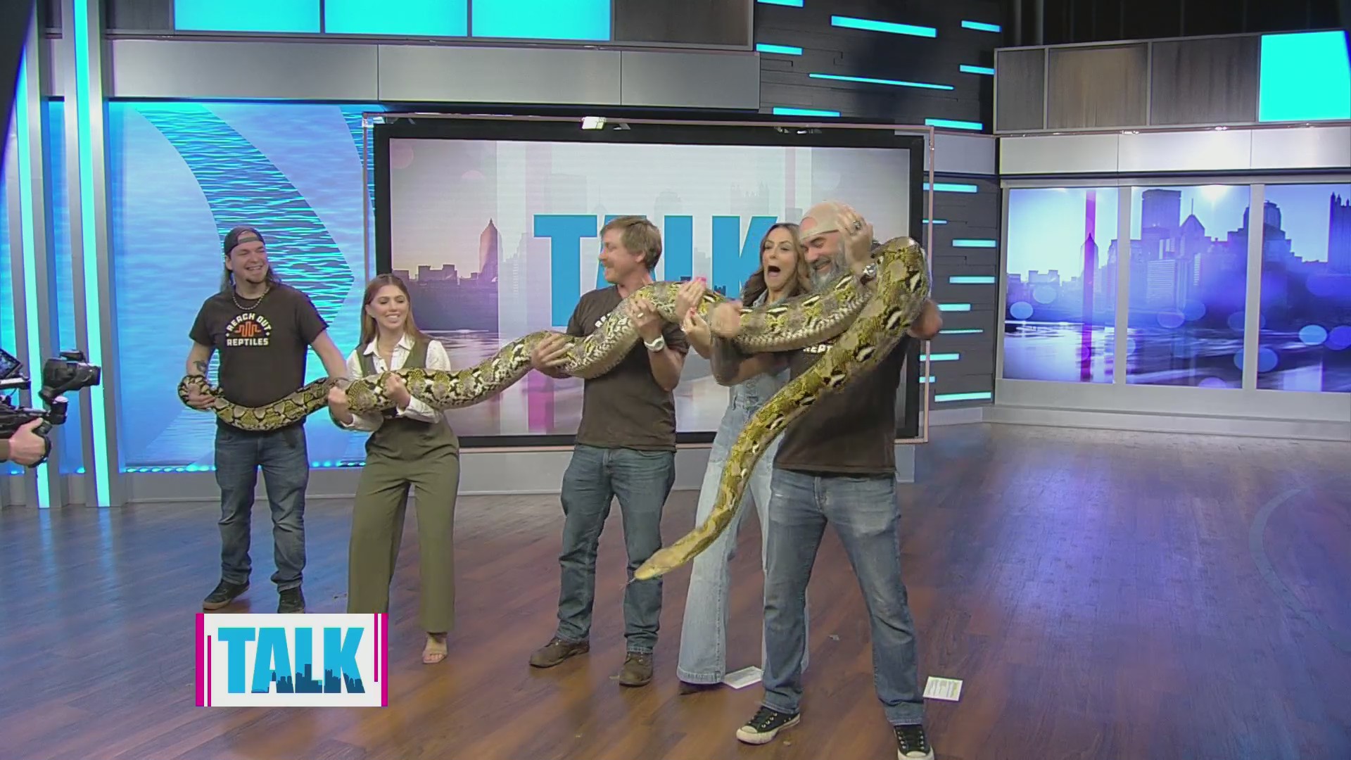 Several snakes from Reach Out Reptiles visit the Talk Pittsburgh studios