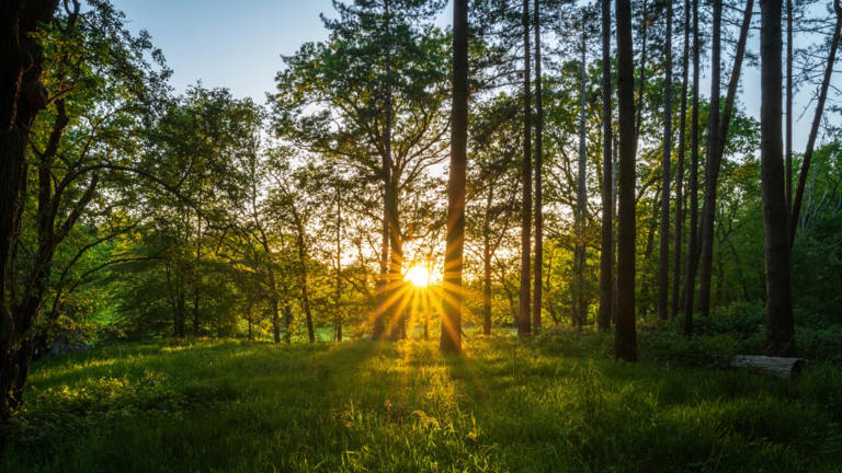 5 Fast Facts About the Spring Equinox
