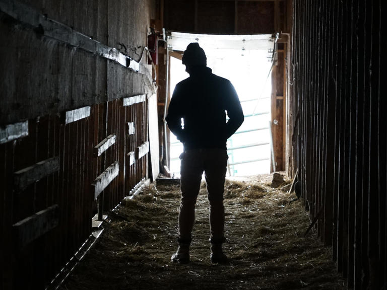 Deux prix pour le reportage « Gabriel, travailleur de rang