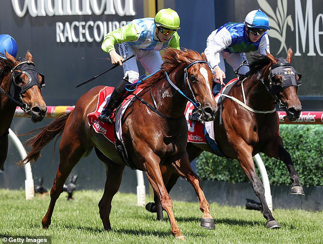 Lewis German: Jockey is slapped with a monster 10-year ban for role in ...