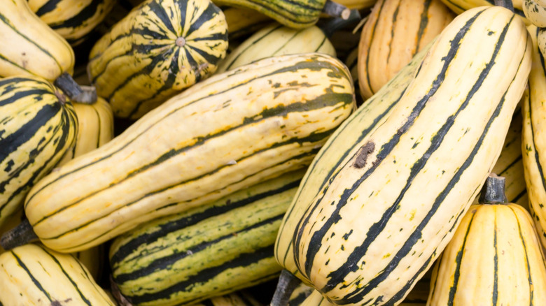 What's The Best Way To Cook Delicata Squash And Is The Skin Edible?
