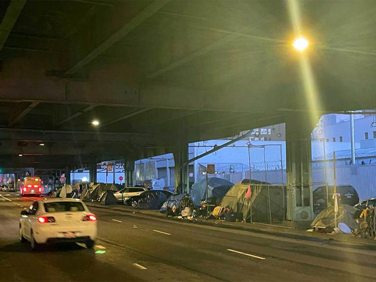 'Breaking the cycle': SF Mayor Lurie unveils plan to tackle ...