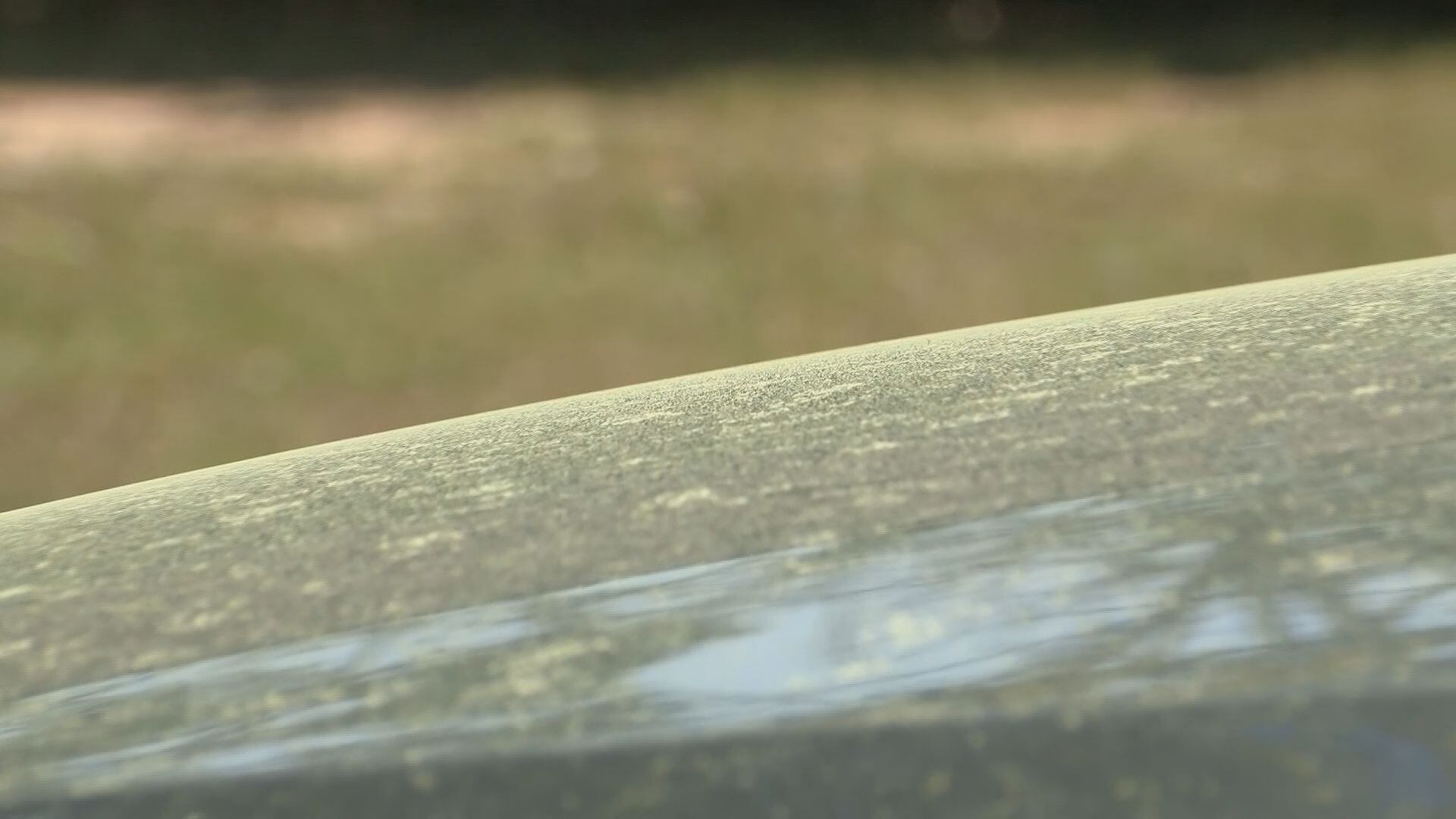 Experts weigh in as pollen season triggers uptick in allergy cases