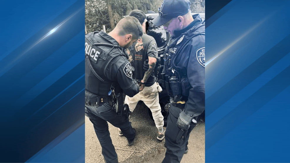 Witnesses help police quickly apprehend domestic violence suspect in Kent