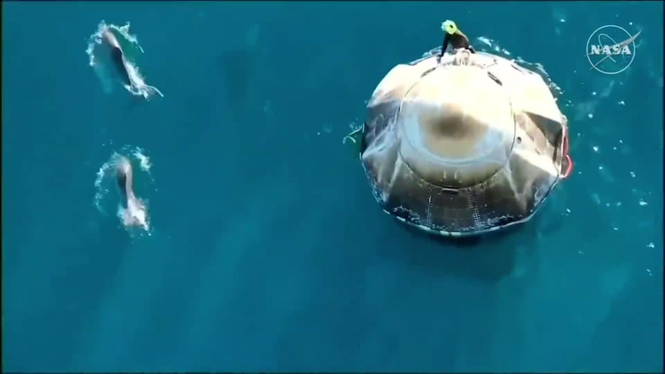 VIDEO: Dolphins greet Starliner astronauts