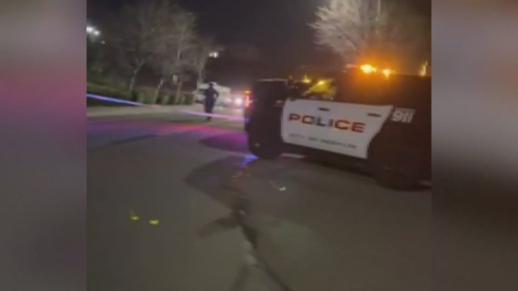 Rocklin father, son released from custody after alleged road rage incident