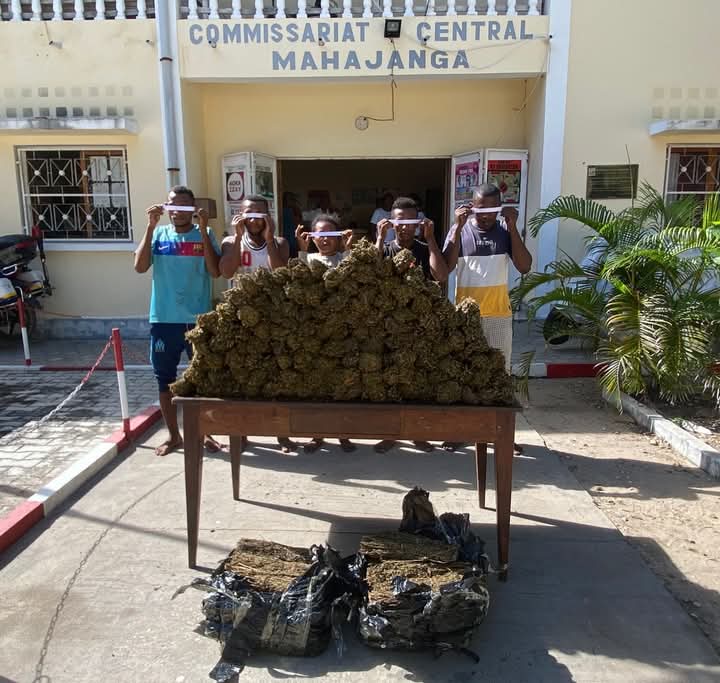 TRAFIC DE STUPÉFIANTS - Trente-deux kilos de cannabis saisis à Aranta