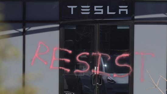 Tesla owners’ personal data leaked amid anti-Musk backlash, and there’s ...