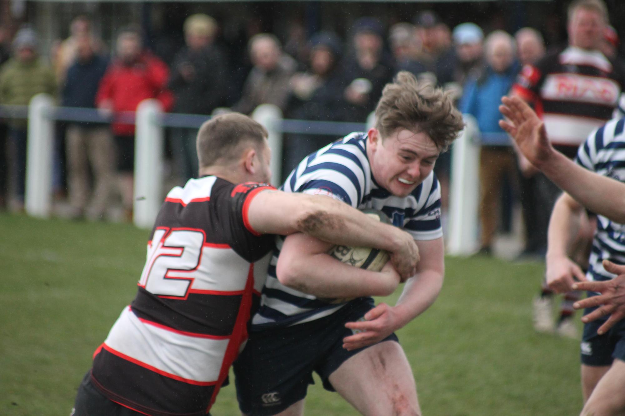 Pocklington RUFC Panthers lose at home to league leaders Malton ...