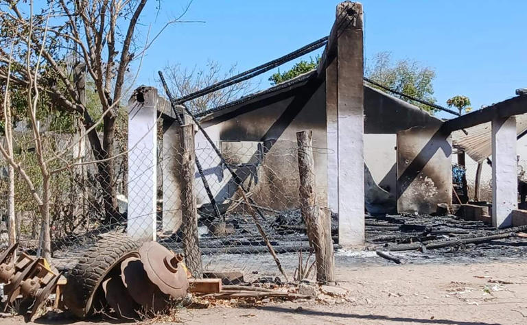 Autoridades atienden presunto reporte de enfrentamientos en comunidad de Sinaloa; hallan ...