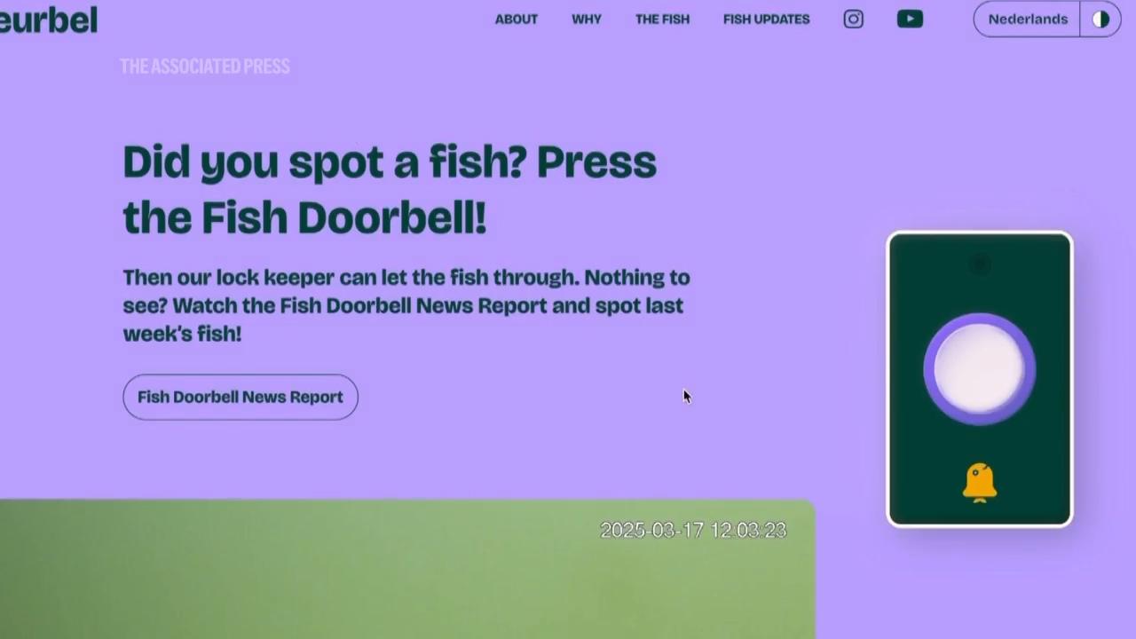 Online fish doorbell draws millions of fans 'ringing the bell' to help ...
