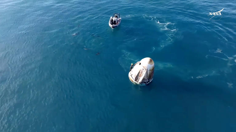 Curious dolphins welcomed NASA astronauts back to Earth after their 9 ...