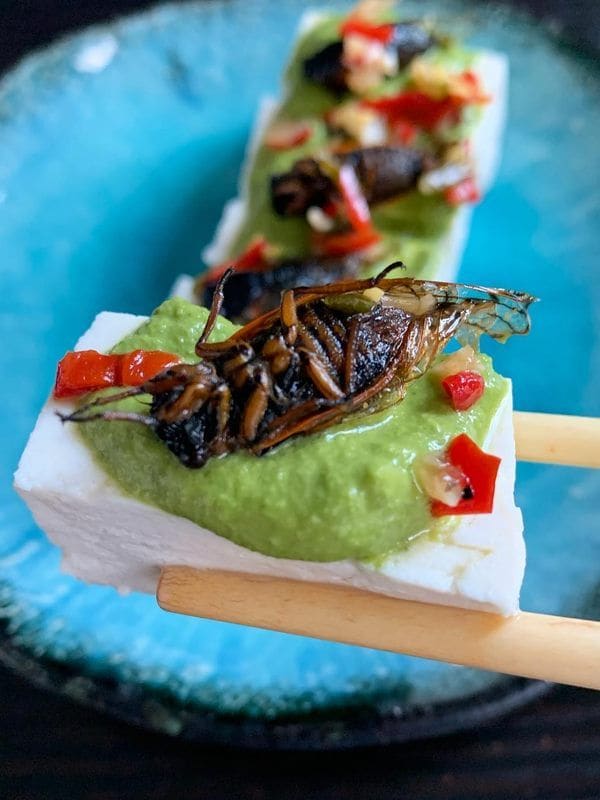5 edible insects people around the world eat
