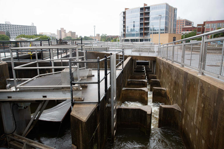 New website counts steelhead, coho and chinook salmon and trout in ...