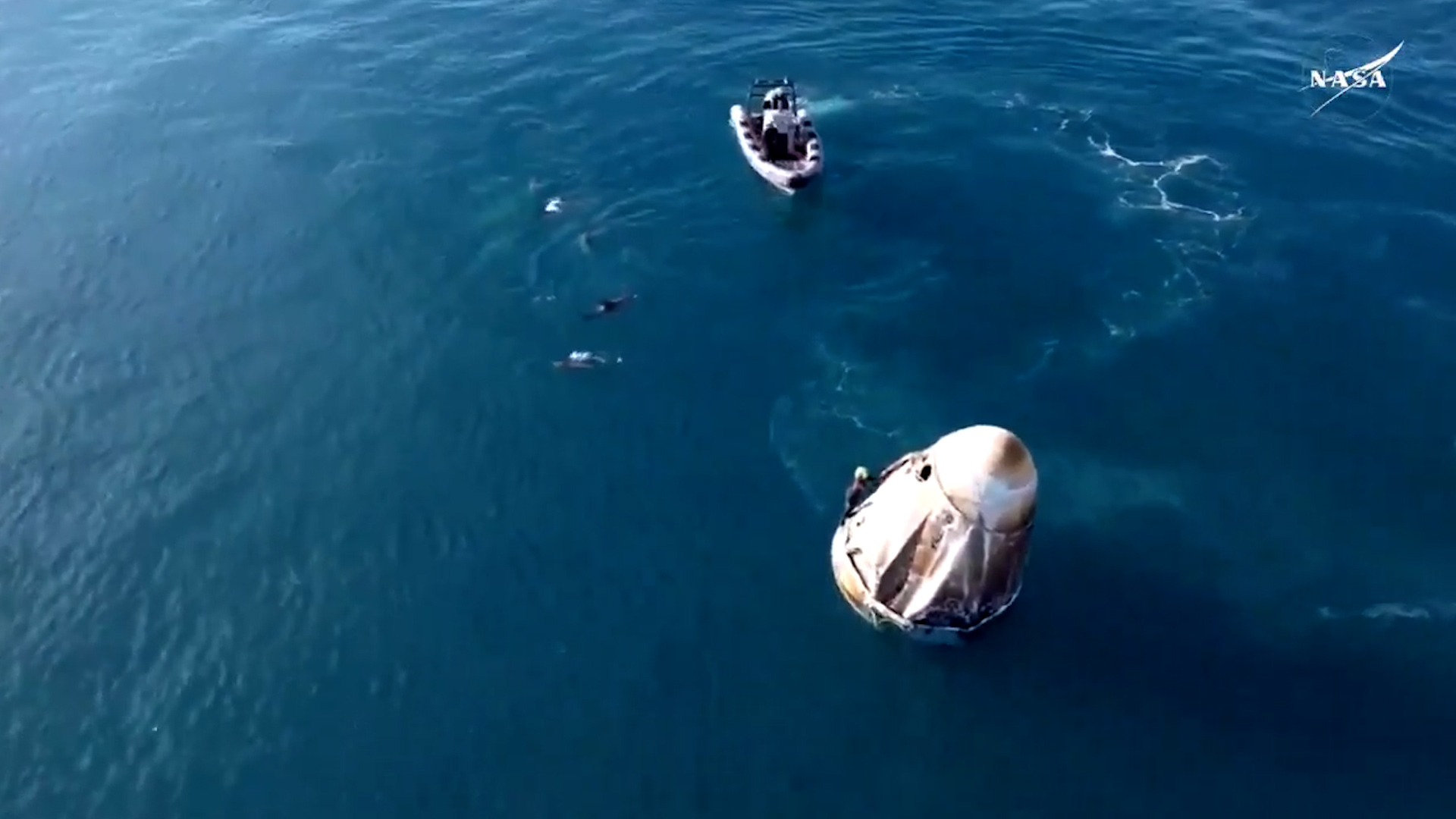 Dolphins Seen Swimming Next To SpaceX Pod After Splashdown