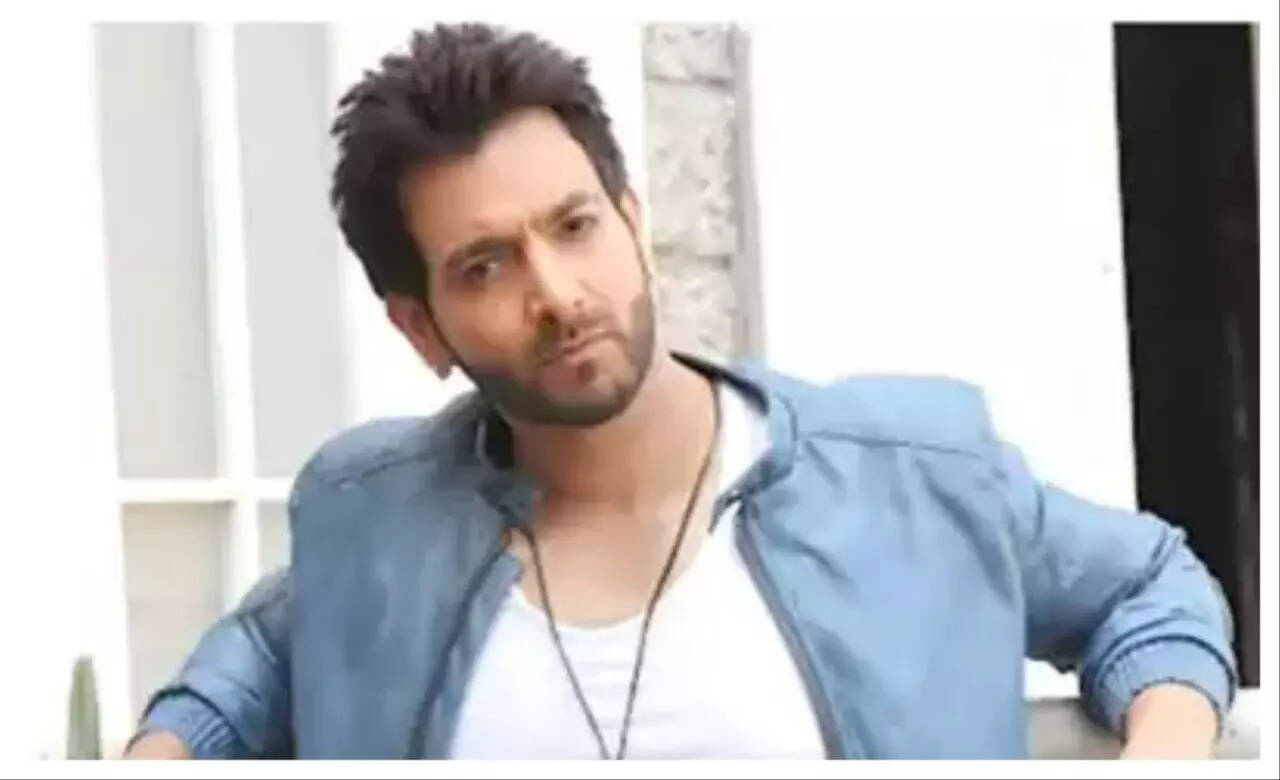 Vineet Raina: There were many aspects to Sai Baba's life, so another show on Sai Baba won't get ...