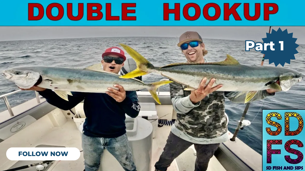 DOUBLE Hook-Up Madness! Non-Stop Yellowtail Action! Part 1