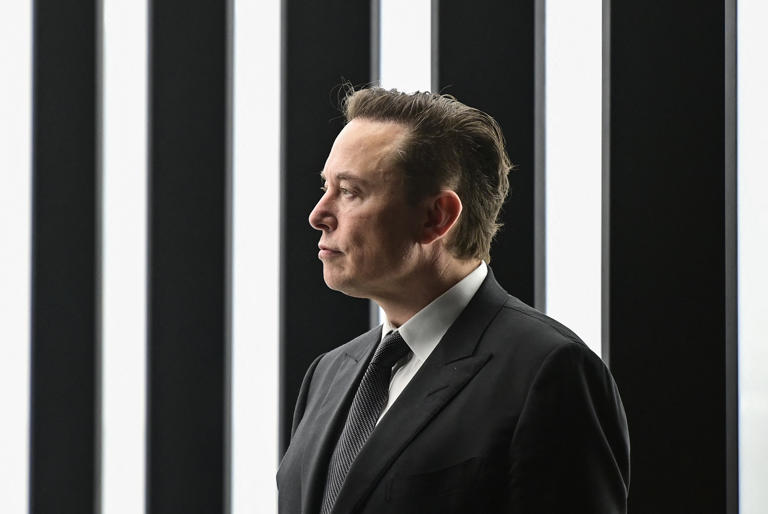 Elon Musk Shocked by Hatred Against Him, Tesla