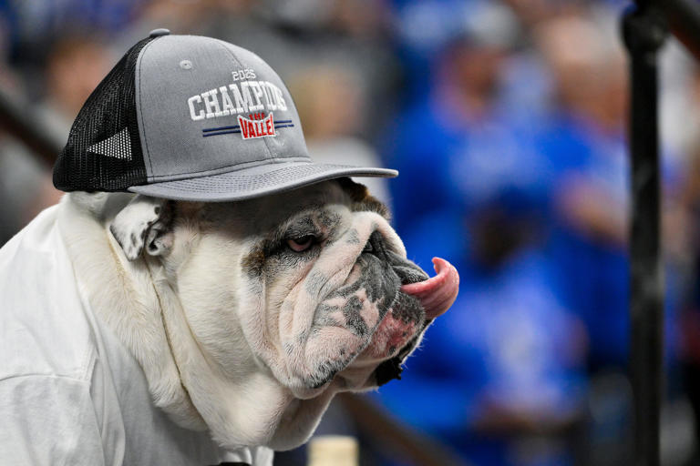 'March Madness needs Griff': Drake basketball fans want NCAA live ...