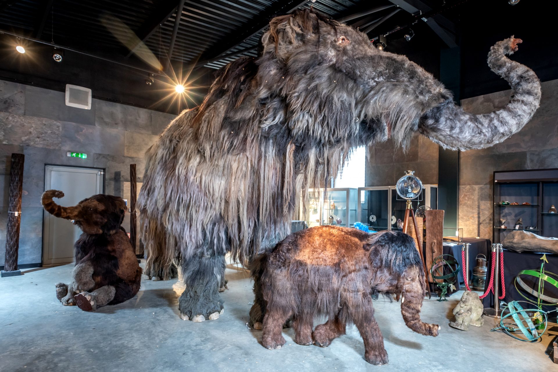 Tiny furry mice might be the path to reviving the wooly mammoth