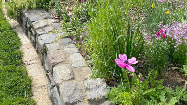 Photo of neighbor's stunning garden goes viral for heartwarming reason ...