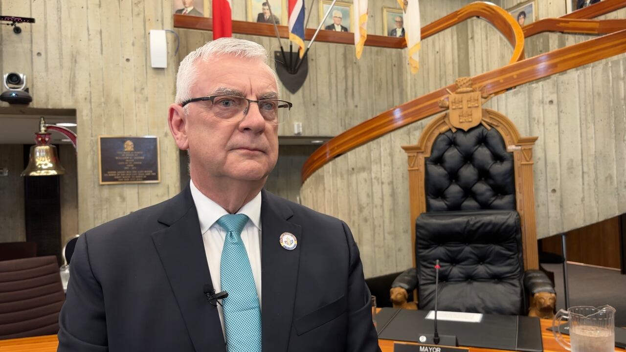 In response to safety concerns, St. John's mayor wants police to patrol ...