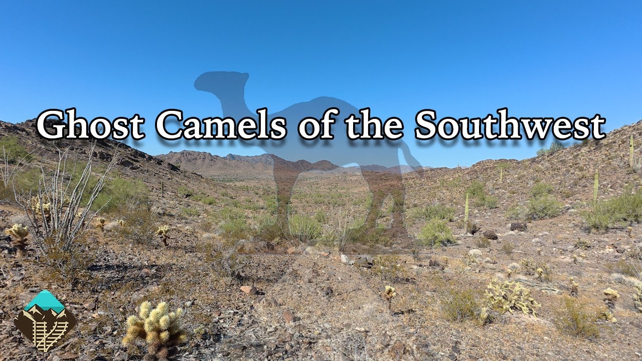 The Ghost Camels of the Desert – A Forgotten Tale Comes Alive