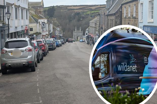 Is Wildanet coming to Helston? Here's how you can find out