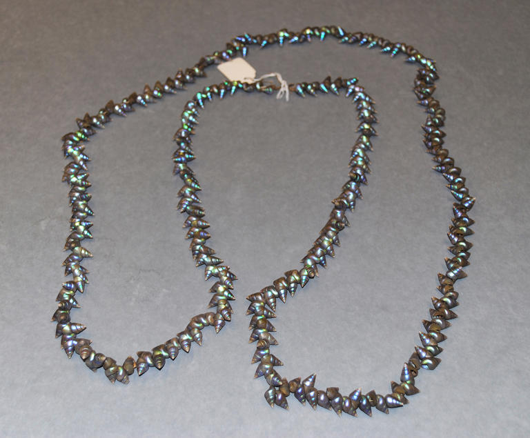 Scottish university returns rare Tasmanian shell necklace