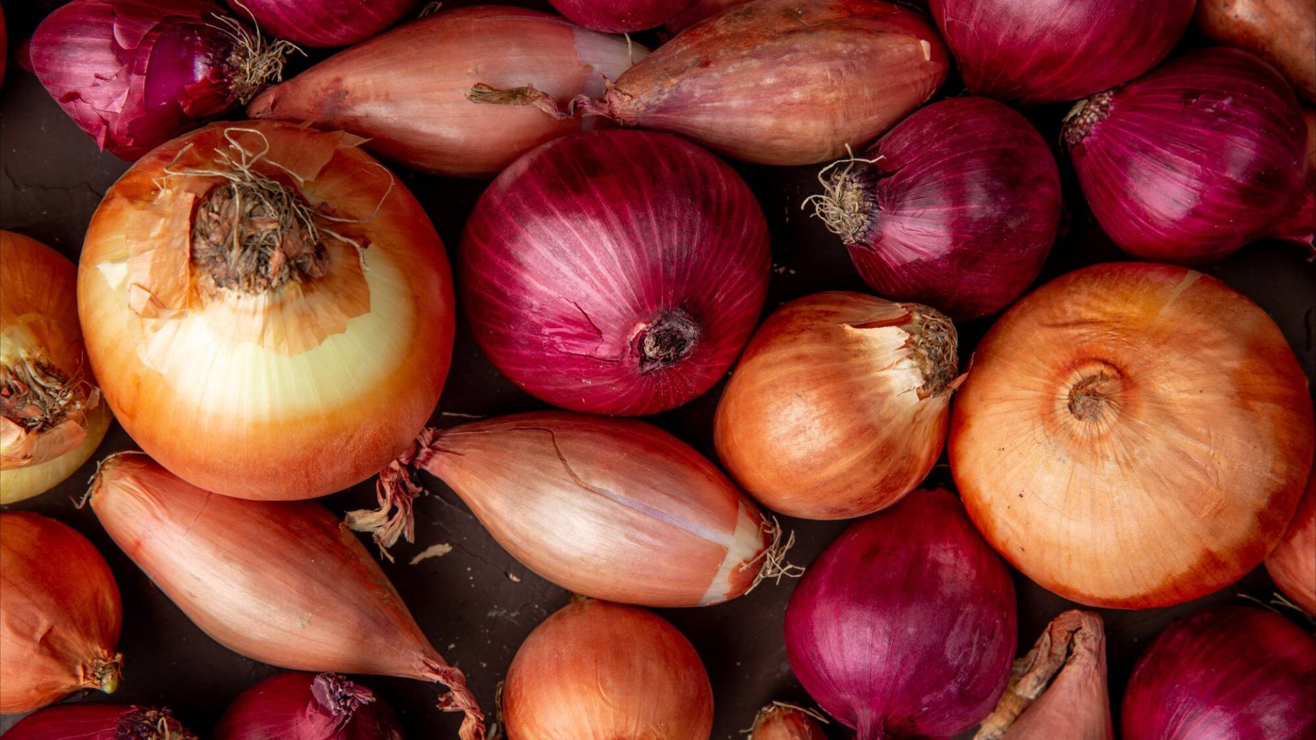Prolonga la vida de tus cebollas con estos consejos sencillos y eficaces