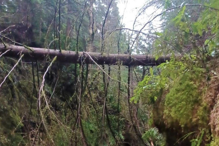 Storm Eowyn causes popular hiking trail to close for rest of year due ...