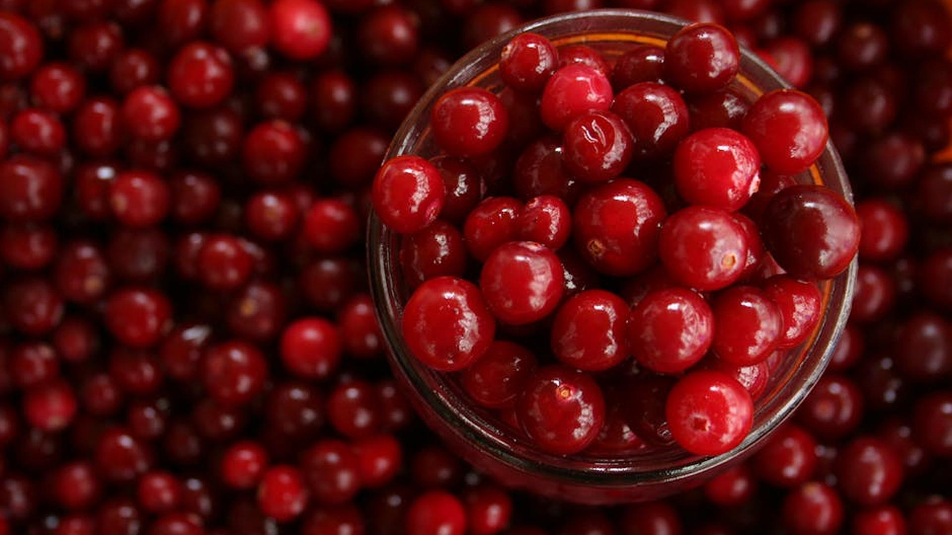A Guide to Superfood Berries from the Great Lakes Region