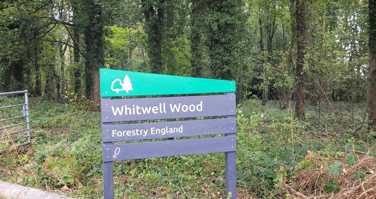 The 12 best-rated parks in Nottinghamshire with lakes, wildlife and ...