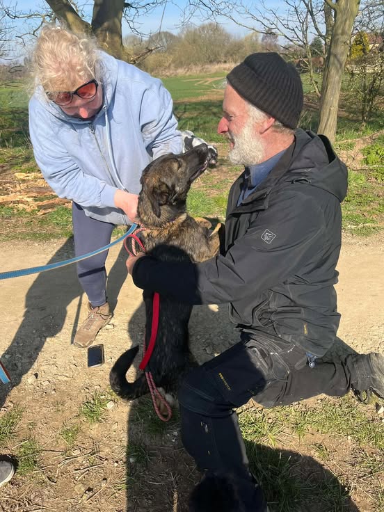 Search team's joy after hunt for missing dog Athena following motorway ...