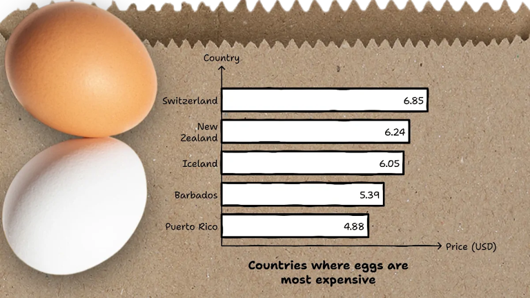 Shell Shocked: How Much Do Eggs Cost Around the World?