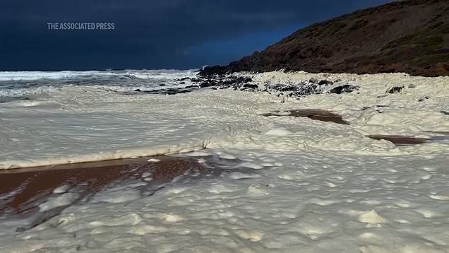 Australian state closes two beaches after dead fish wash ashore