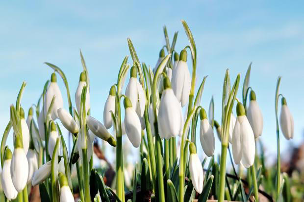 When is the start of Spring in the UK? All to know about the Spring Equinox