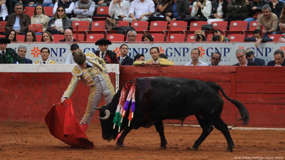 Bullfighting ban in Mexico City sparks celebration and controversy