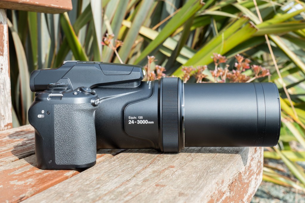 Nikon Coolpix P1100 Review – 125x zoom in a bridge camera – but is it ...