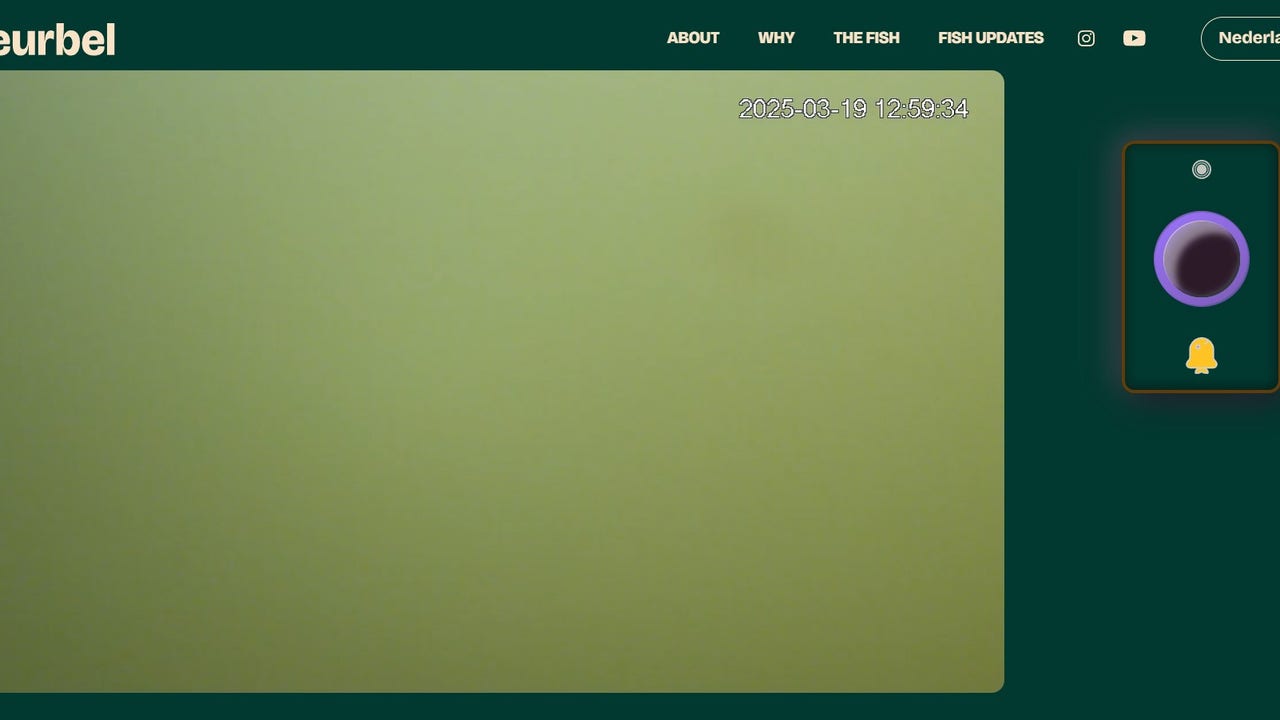 World's first 'Fish Doorbell' inspires millions to help Dutch city ...