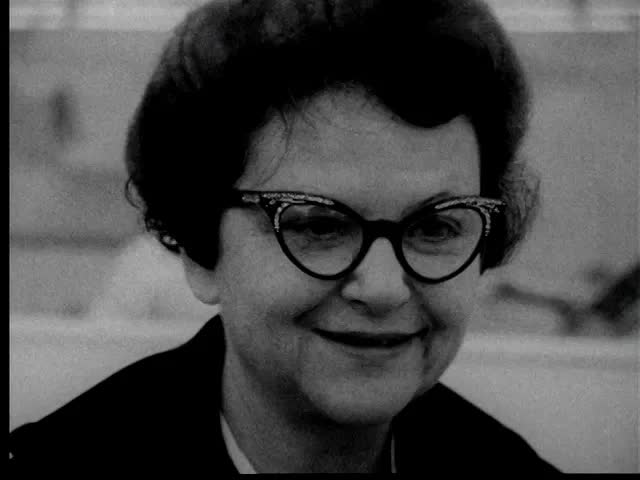 Supermarket & Grocery Store Shopping: Stocking & Cleaning