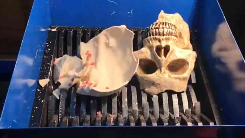HUMAN SKULL SHREDDING