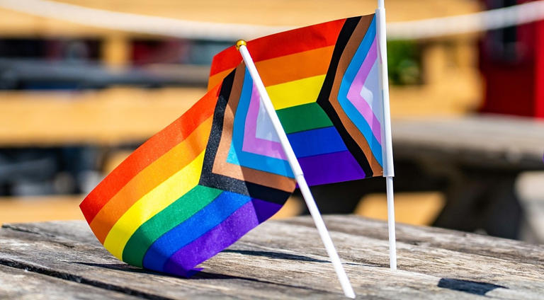Cheers to Inclusivity! The Story Behind the Progress Pride Flag and Why ...