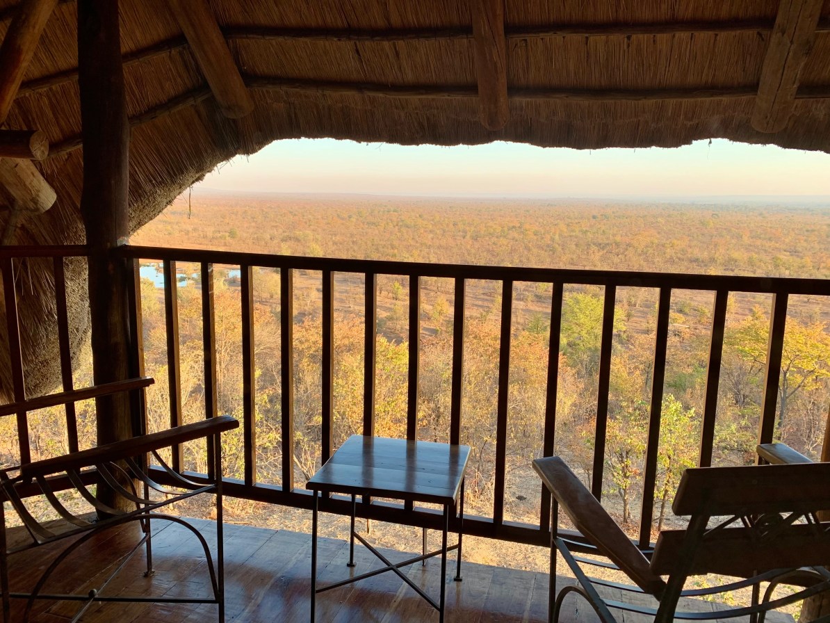 This Luxury Hotel Overlooks an Elephant Oasis in Africa