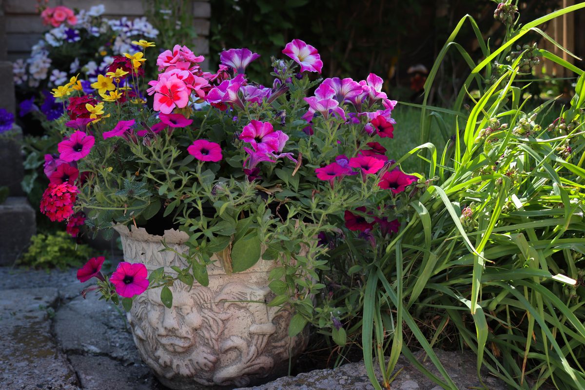 55 Container Gardening Ideas to Inspire, from Easy to Amazing